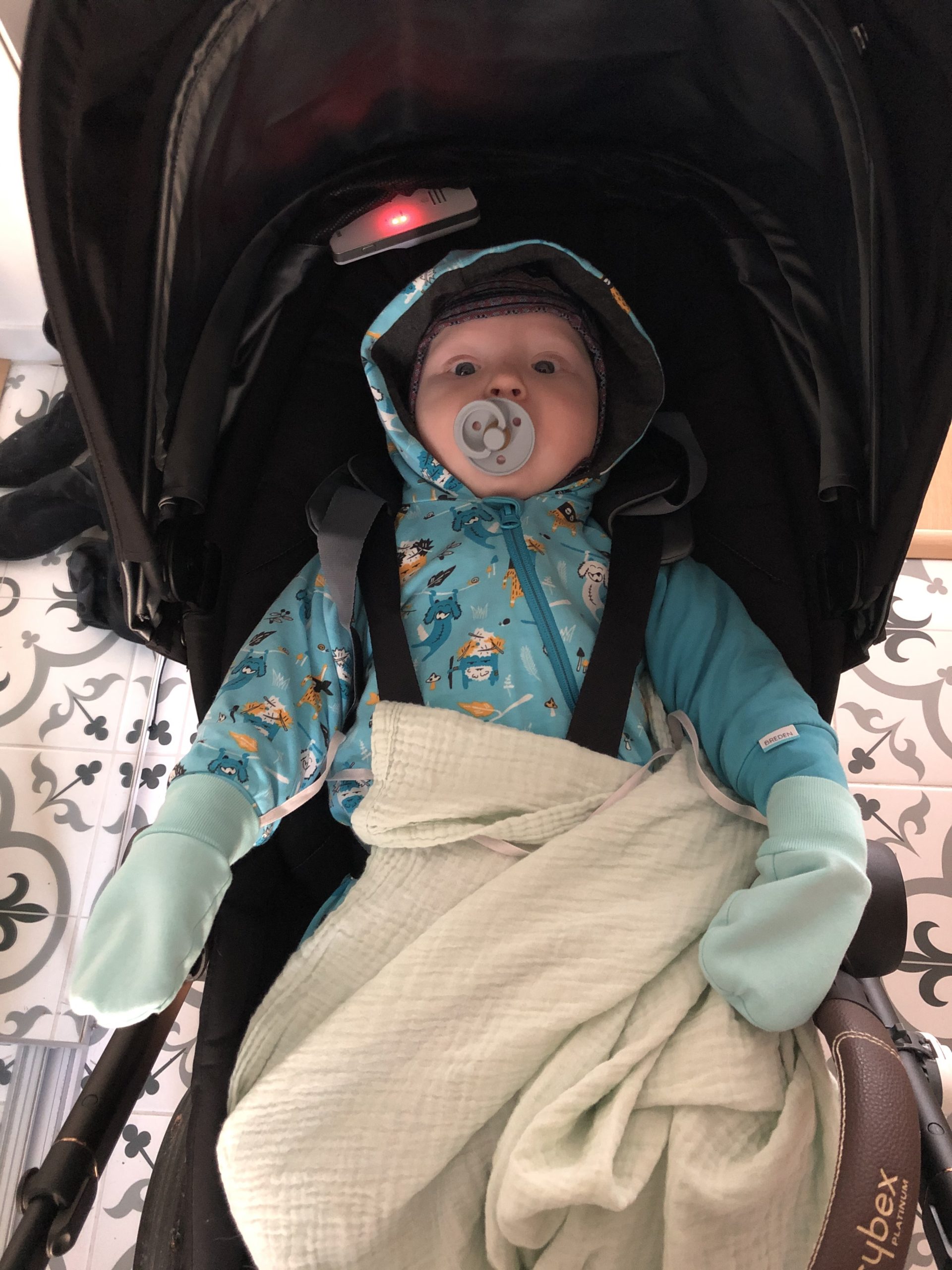 Lapse üheksas kuu ehk Poiku õppis istuma - Helen Vene