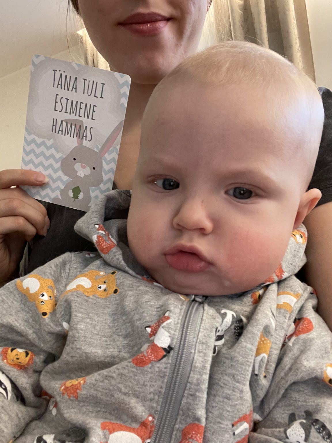 Lapse üheksas kuu ehk Poiku õppis istuma - Helen Vene