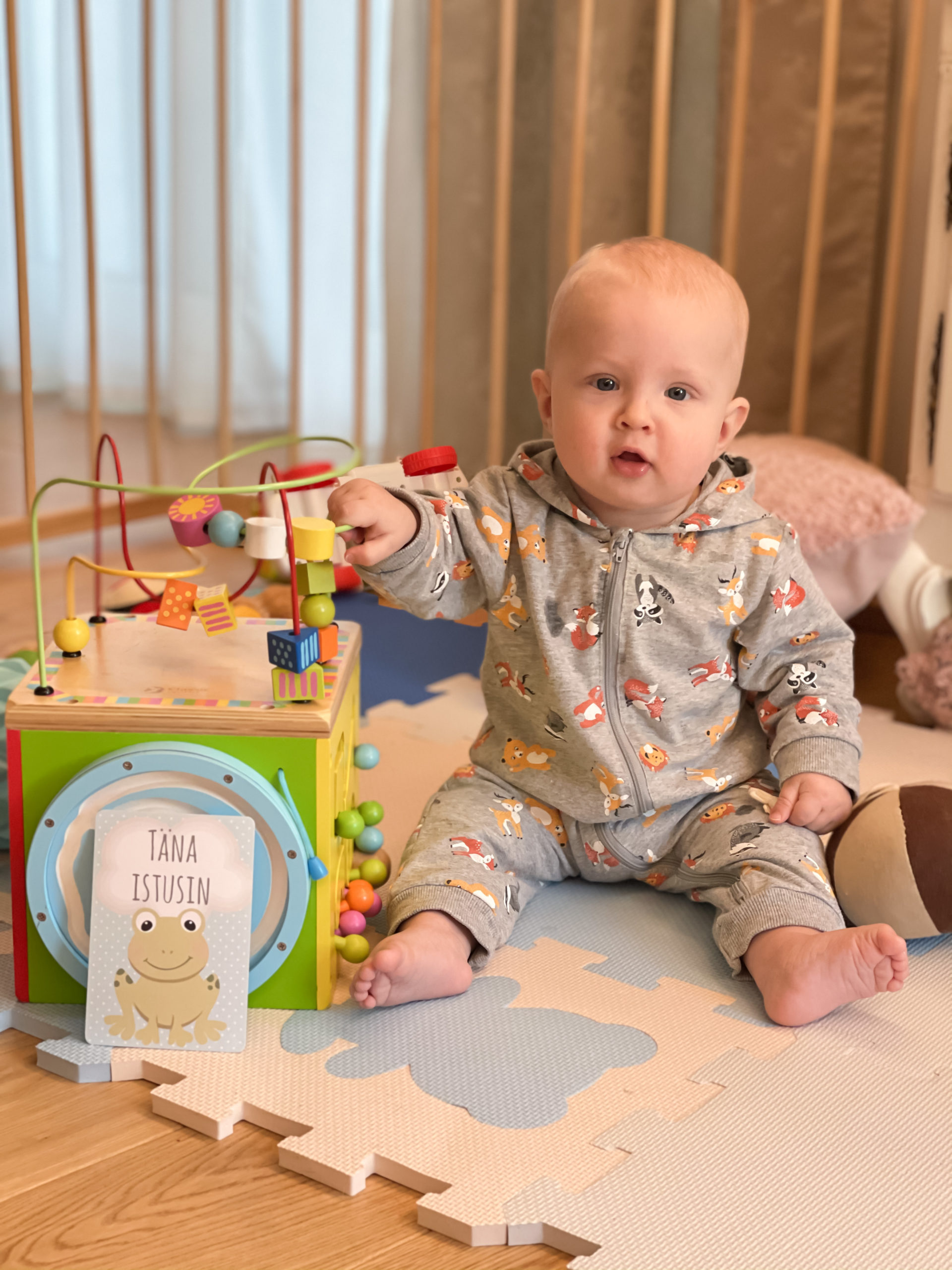 Lapse üheksas kuu ehk Poiku õppis istuma - Helen Vene